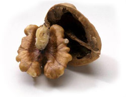 Walnuts – What, Why, and How? | SuperKids Nutrition